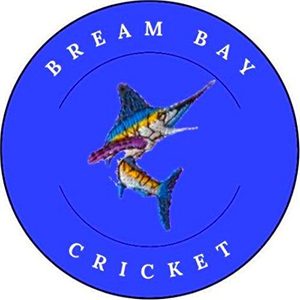 Club Cricket